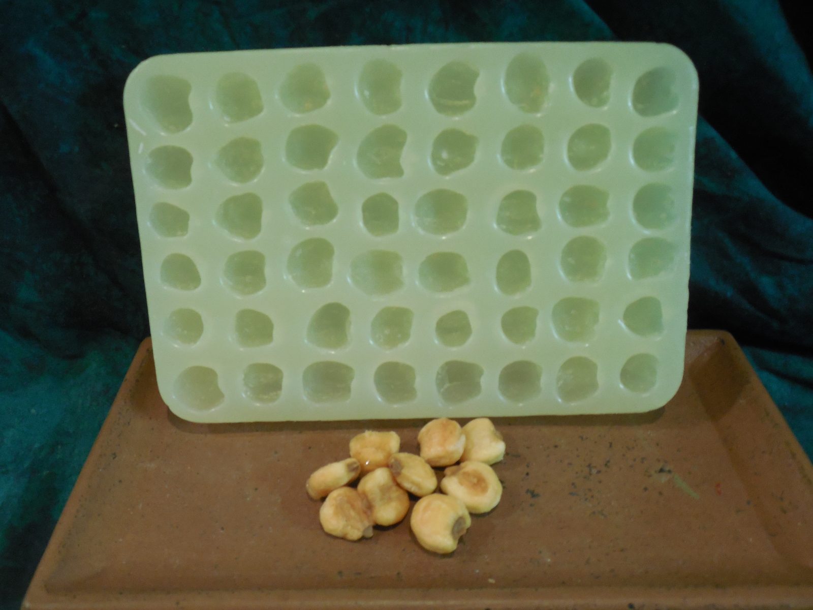 Corn Nuts Embeds 48 Cavity Silicone Mold 2245 - Van Yulay Silicone ...