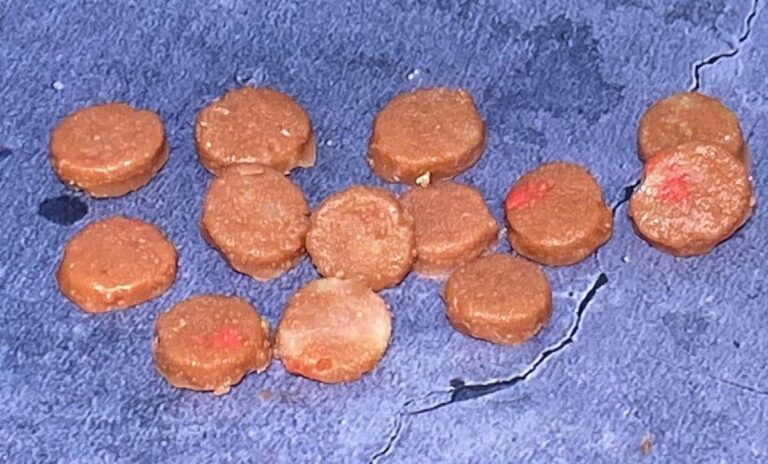 Mini Pepperoni Embeds 49 Cavity Silicone Mold 5003 - Van Yulay Silicone ...